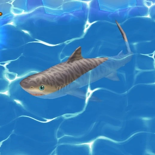 Tiger Shark | Zoo 2: Animal Park Wiki | Fandom