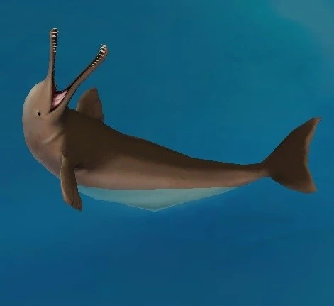 Ganges River Dolphin | Zoo 2: Animal Park Wiki | Fandom