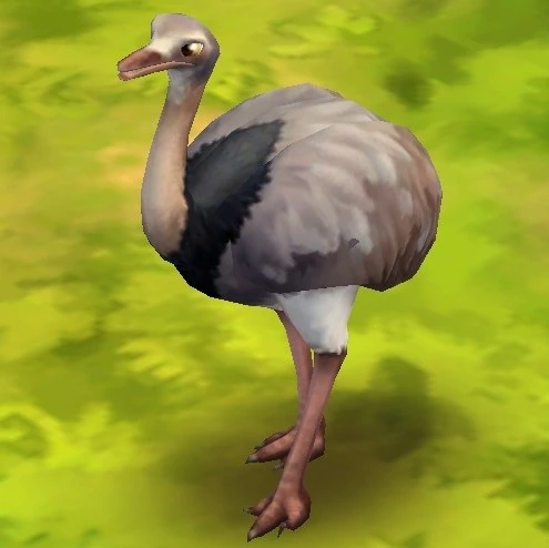 Greater Rhea | Zoo 2: Animal Park Wiki | Fandom