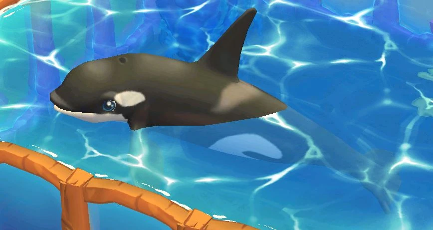 Orca | Zoo 2: Animal Park Wiki | Fandom