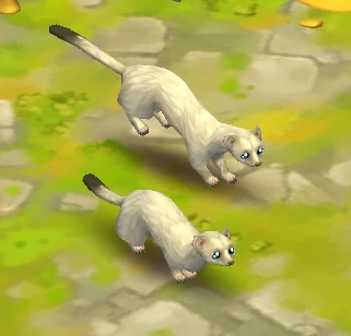 Stoat | Zoo 2: Animal Park Wiki | Fandom