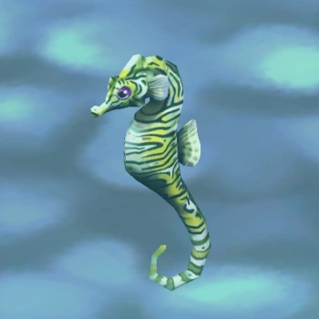 Short-Snouted Seahorse | Zoo 2: Animal Park Wiki | Fandom
