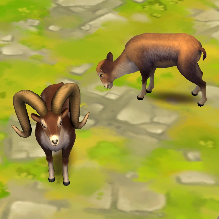 Argali | Zoo 2: Animal Park Wiki | Fandom