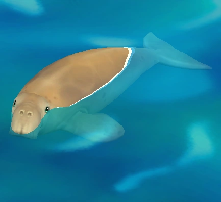 Dugong | Zoo 2: Animal Park Wiki | Fandom