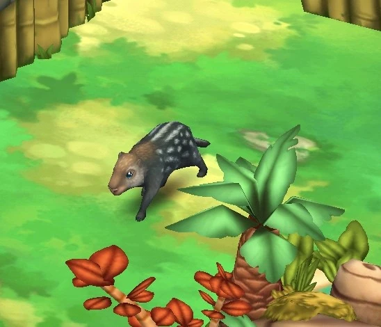 Pacarana | Zoo 2: Animal Park Wiki | Fandom