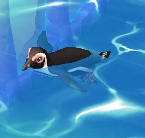 African Penguin | Zoo 2: Animal Park Wiki | Fandom