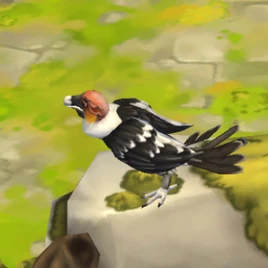 Andean Condor | Zoo 2: Animal Park Wiki | Fandom