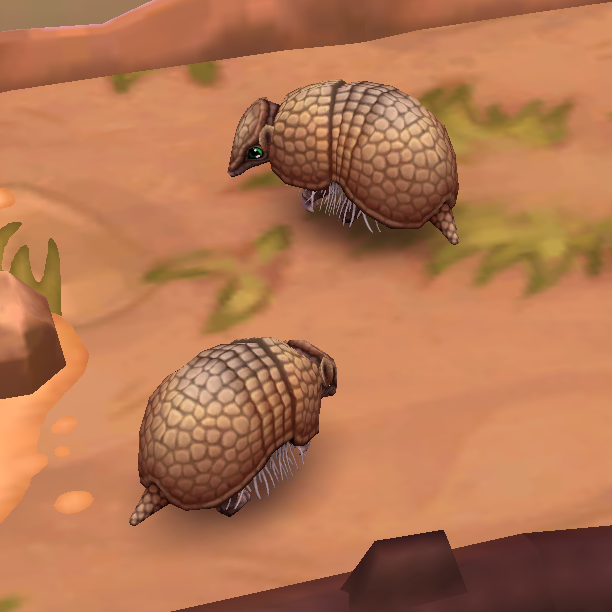 Southern Three-Banded Armadillo | Zoo 2: Animal Park Wiki | Fandom