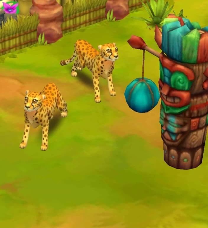 Cheetah | Zoo 2: Animal Park Wiki | Fandom