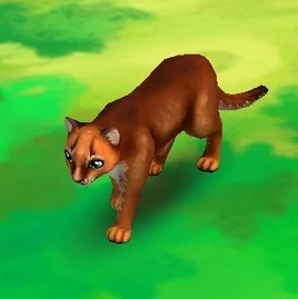 Bay Cat | Zoo 2: Animal Park Wiki | Fandom