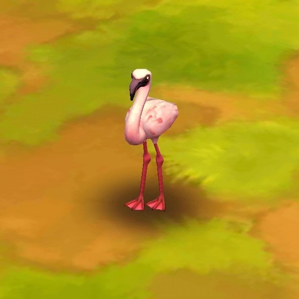 Lesser Flamingo | Zoo 2: Animal Park Wiki | Fandom