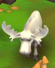 Moose | Zoo 2: Animal Park Wiki | Fandom