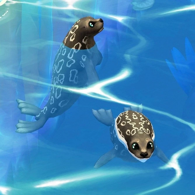 Saimaa Ringed Seal | Zoo 2: Animal Park Wiki | Fandom