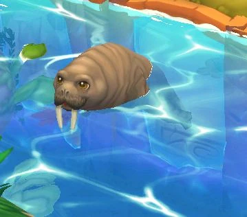 Walrus | Zoo 2: Animal Park Wiki | Fandom