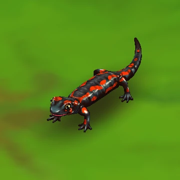 Roter Feuersalamander