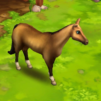 Akhal-Teke | Zoo 2: Animal Park Wiki | Fandom