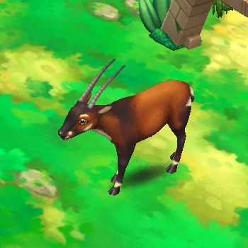Saola