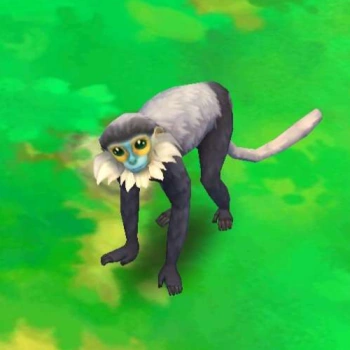 Douc | Zoo 2: Animal Park Wiki | Fandom