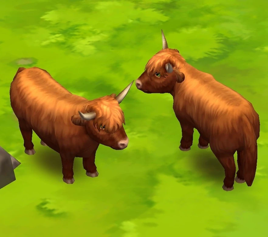 Highland Cattle | Zoo 2: Animal Park Wiki | Fandom