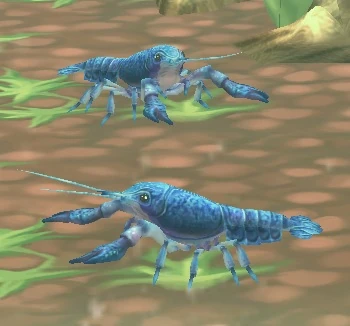 Everglades Crayfish | Zoo 2: Animal Park Wiki | Fandom