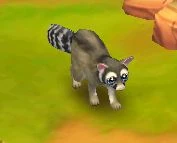 Ringtail | Zoo 2: Animal Park Wiki | Fandom