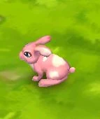Rabbit | Zoo 2: Animal Park Wiki | Fandom