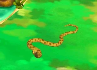 Largest Anaconda In Captivity