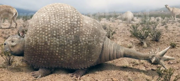 Doedicurus | Zoo Builder Wiki | Fandom