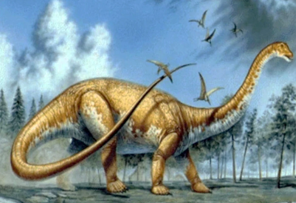 Ultrasaurus | Zoo Builder Wiki | Fandom