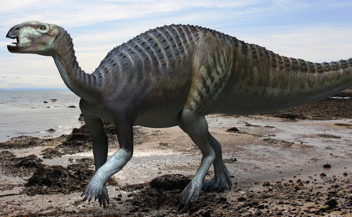 Tenontosaurus | Zoo Builder Wiki | Fandom