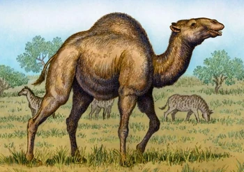 Titanotylopus | Zoo Builder Wiki | Fandom