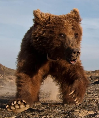 Gobi Bear | Zoo Builder Wiki | Fandom