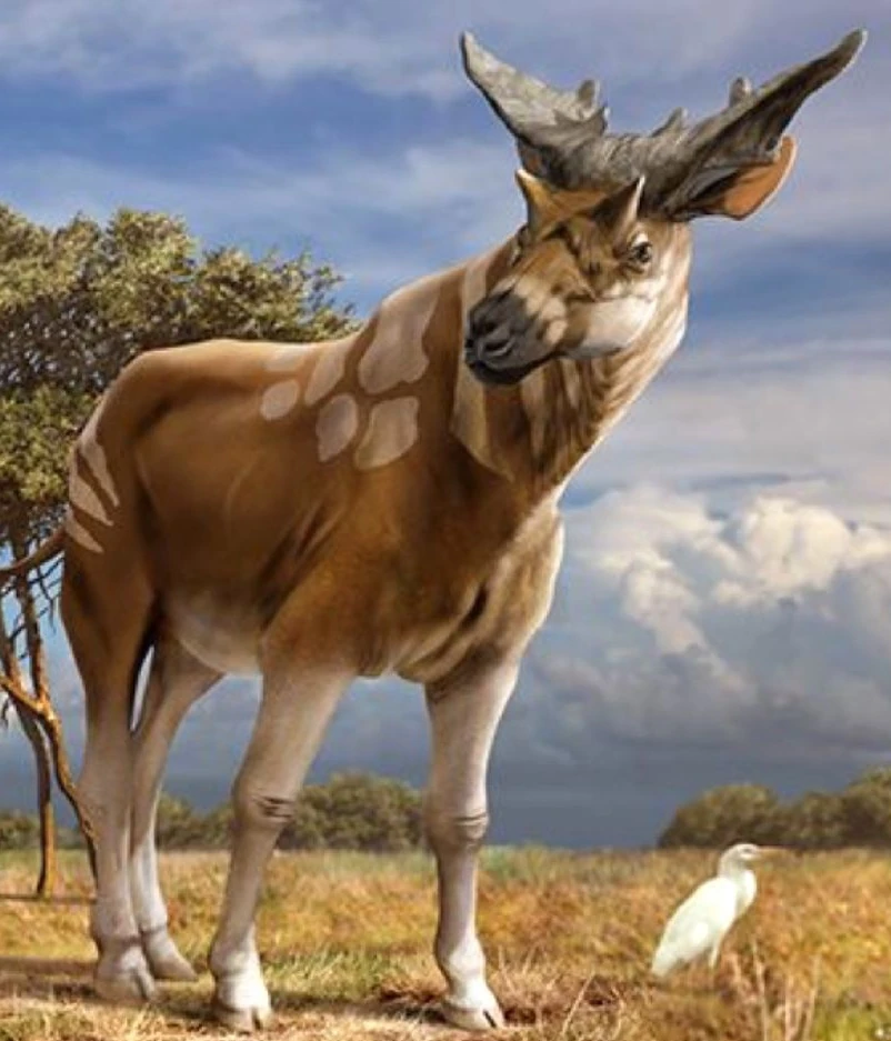 Sivatherium | Zoo Builder Wiki | Fandom