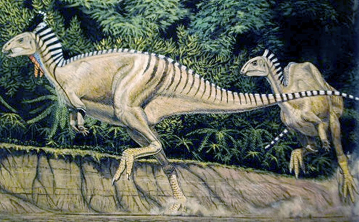 Dryosaurus | Zoo Builder Wiki | Fandom
