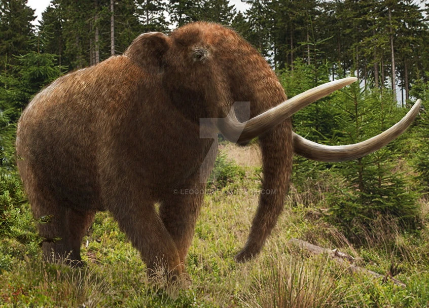 Mastodon | Zoo Builder Wiki | Fandom