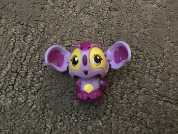 Razoo | Zoobles! Wiki | Fandom