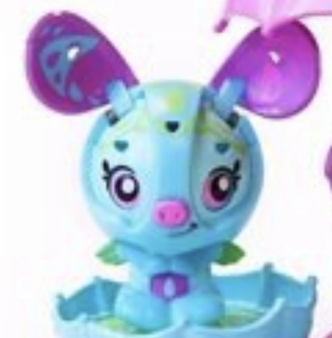 Bacon | Zoobles! Wiki | Fandom