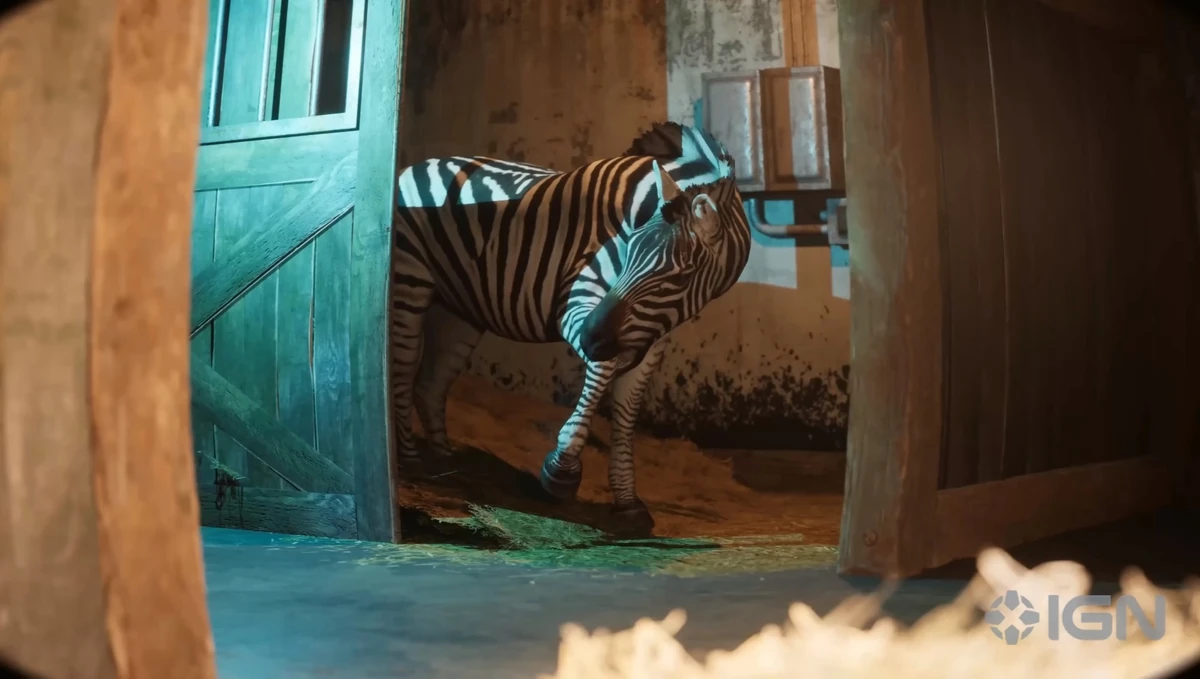 Zebra | ZOOCHOSIS Wiki | Fandom