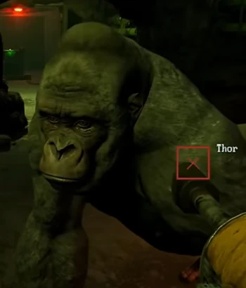 Thor | ZOOCHOSIS Wiki | Fandom