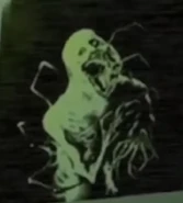 Mutated Animals | ZOOCHOSIS Wiki | Fandom