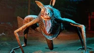 Wallaby | ZOOCHOSIS Wiki | Fandom