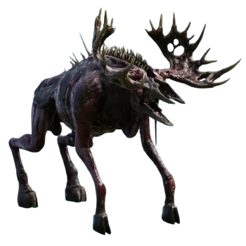 Moose | ZOOCHOSIS Wiki | Fandom