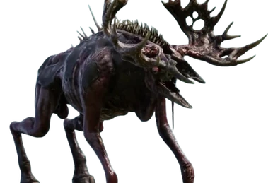 coloring pages zoochosis