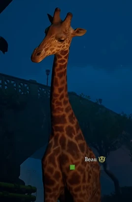 Beau | ZOOCHOSIS Wiki | Fandom