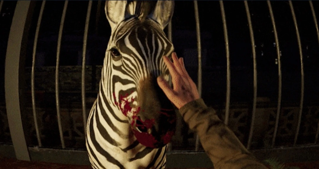 Zebra | ZOOCHOSIS Wiki | Fandom