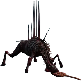 Zebra | ZOOCHOSIS Wiki | Fandom