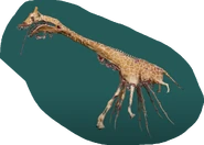 Giraffe | ZOOCHOSIS Wiki | Fandom