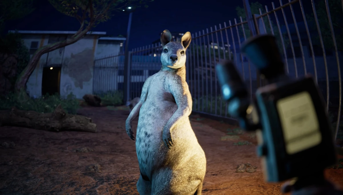 Wallaby | ZOOCHOSIS Wiki | Fandom