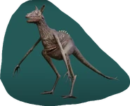 Wallaby | ZOOCHOSIS Wiki | Fandom