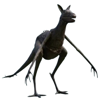 Wallaby | ZOOCHOSIS Wiki | Fandom